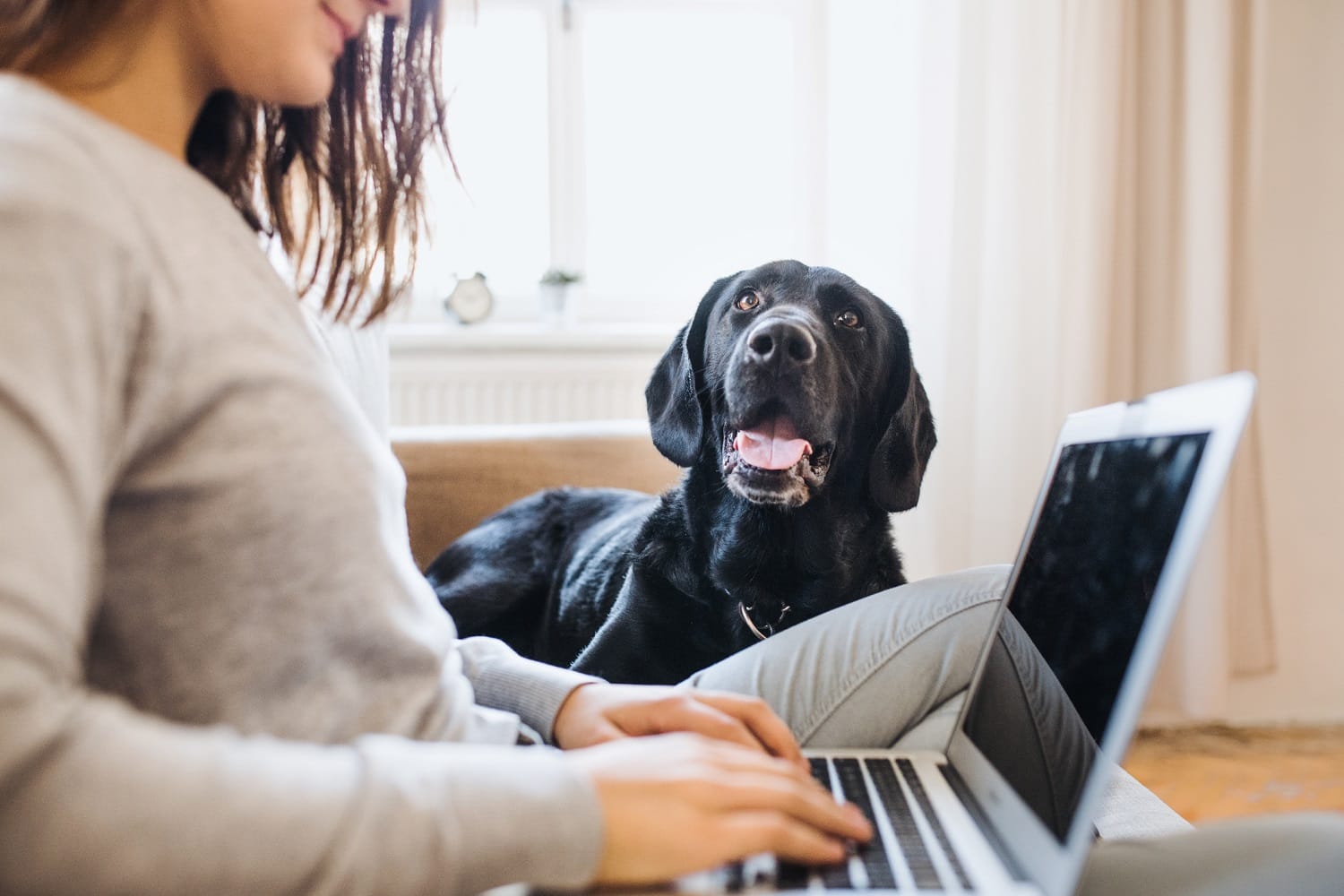 How to Be a Good Co-Worker: Qualities & Benefits
